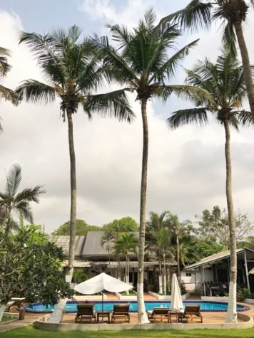 Ivory Coast Travel Guide: Itinerary and Tips - WhirledAway