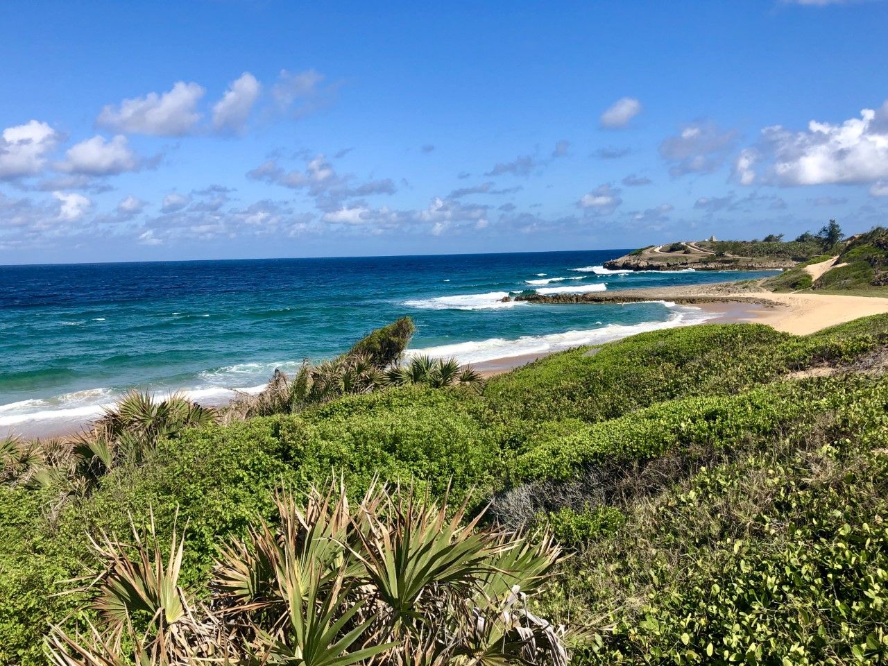 Tofo living and other extremes - WhirledAway